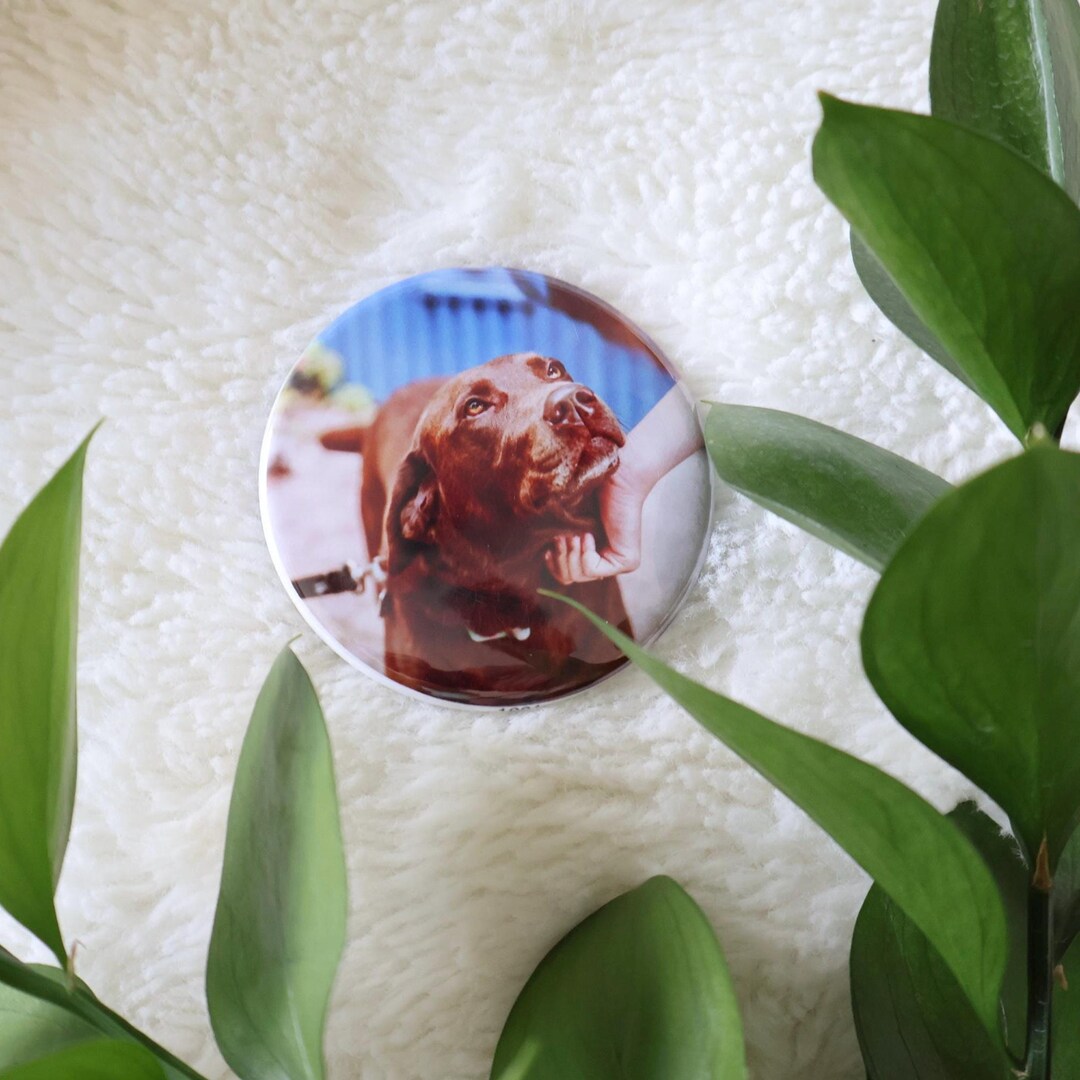 Pet Photo Magnets,set of 9 Custom Dog & Cat Magnets,gifts for Pet ...