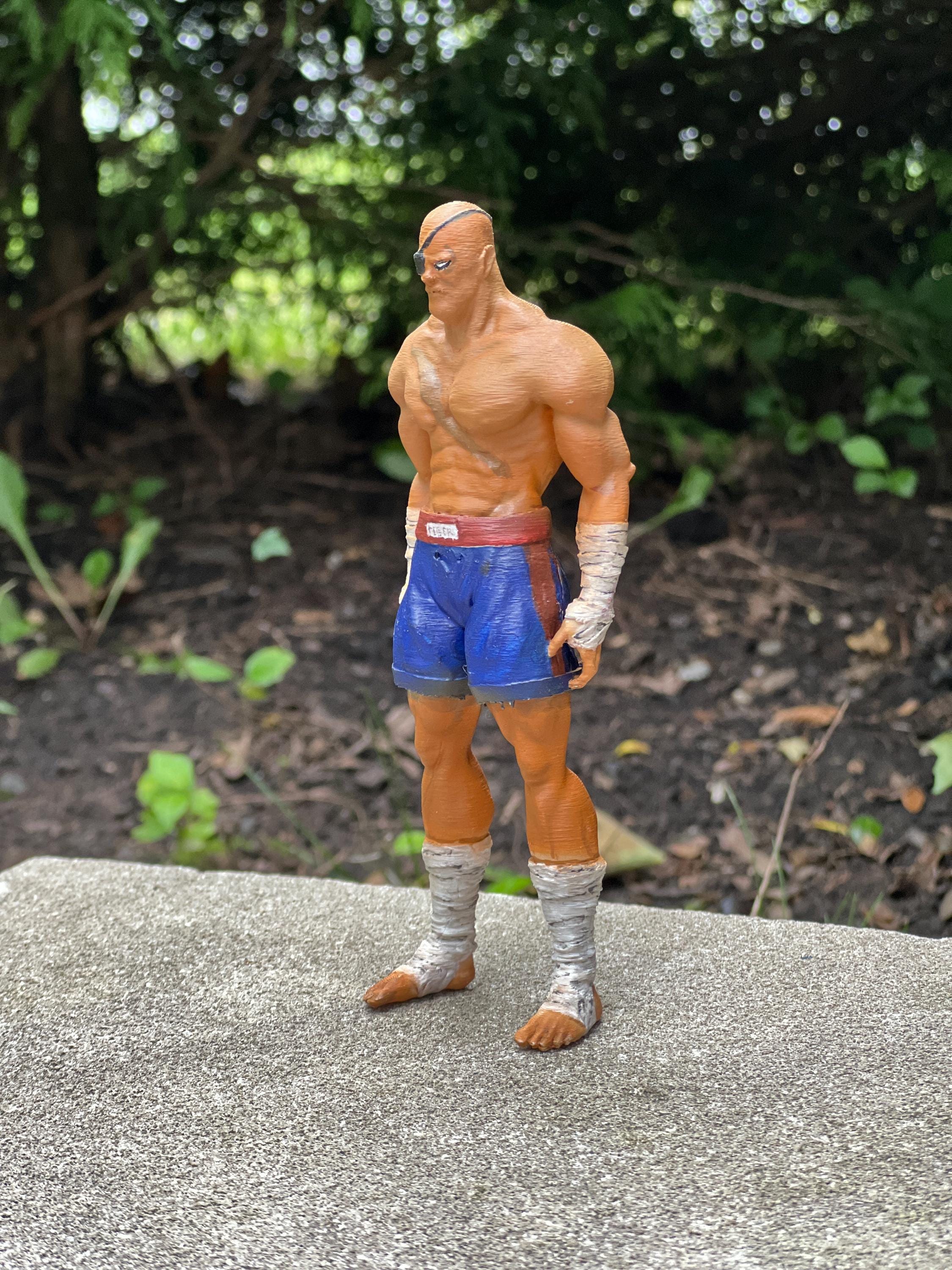 Street Fighter Sagat 5.7inches 3D Print Figure - Etsy