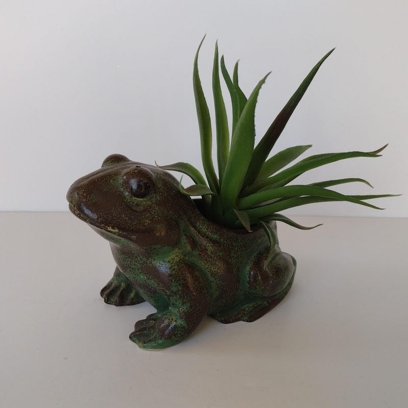 Frog Planter - Etsy