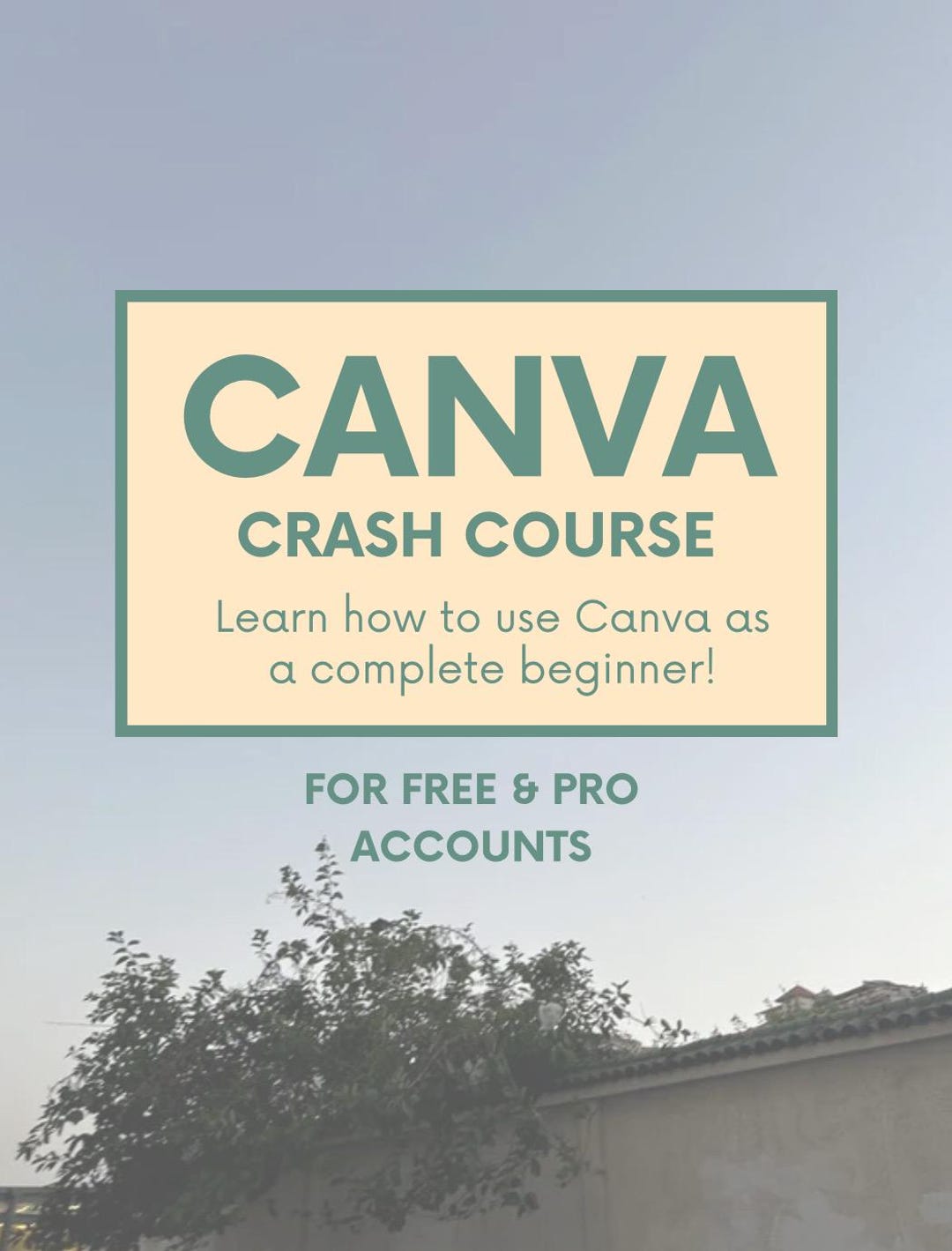 Canva Crash Course (PLR) - Etsy
