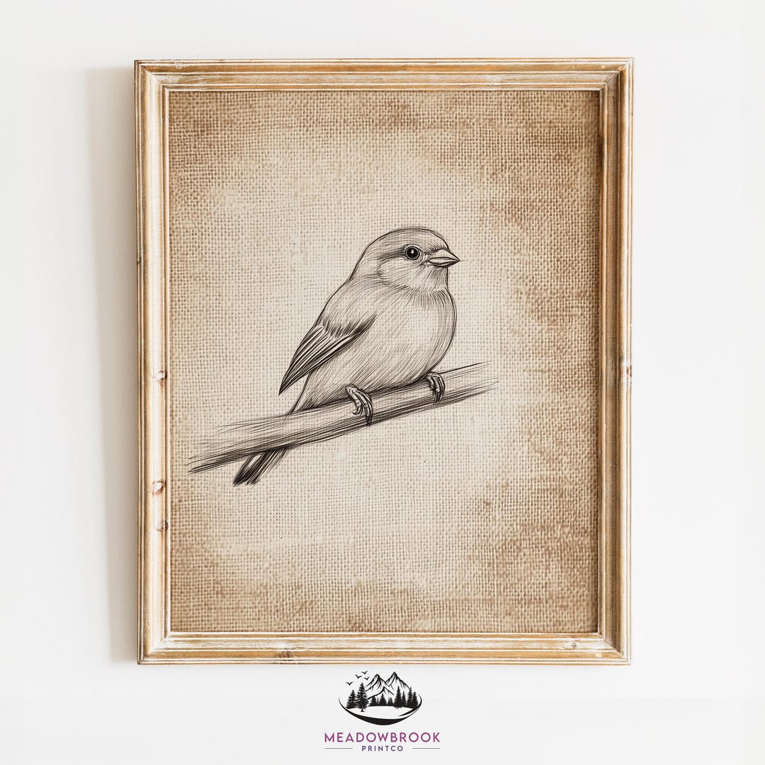 Printable Sparrow Sketch on Branch - Vintage Style Bird Art, Rustic ...