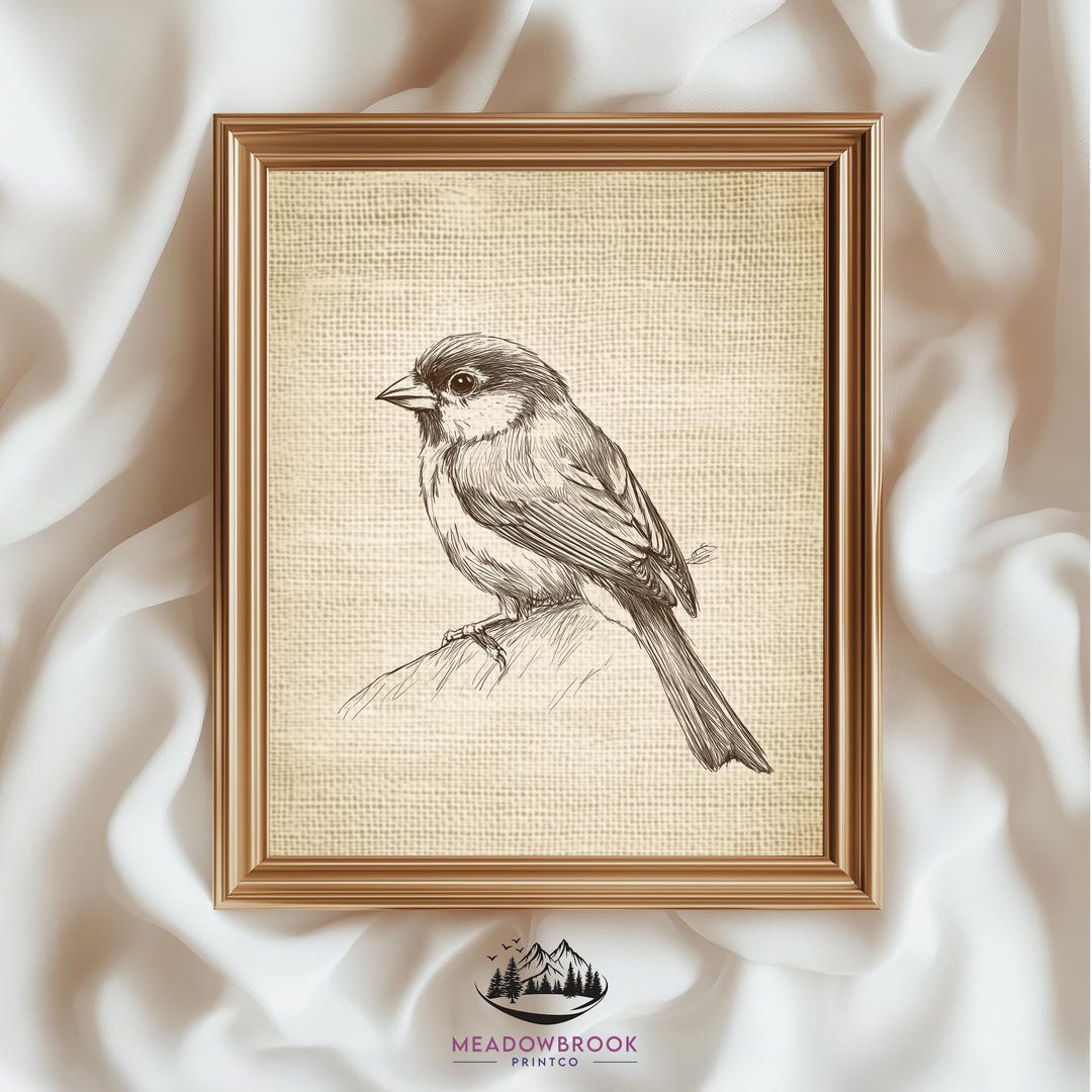 Rustic Sparrow Pencil Sketch - Neutral Bird Wall Art, Farmhouse Nature ...