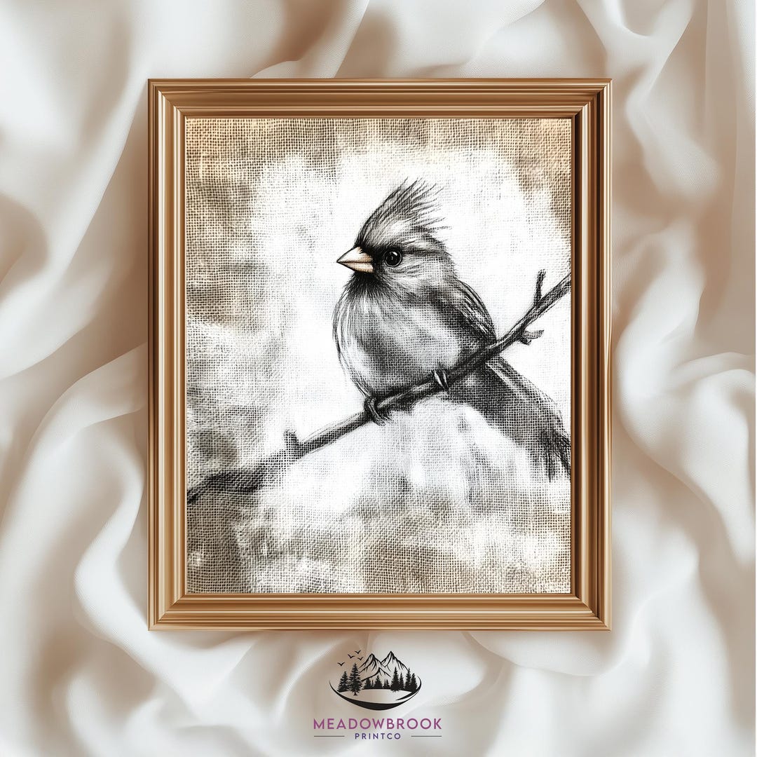 Holly and Goldcrest Pencil Drawing - Vintage Botanical Wall Art, Rustic ...
