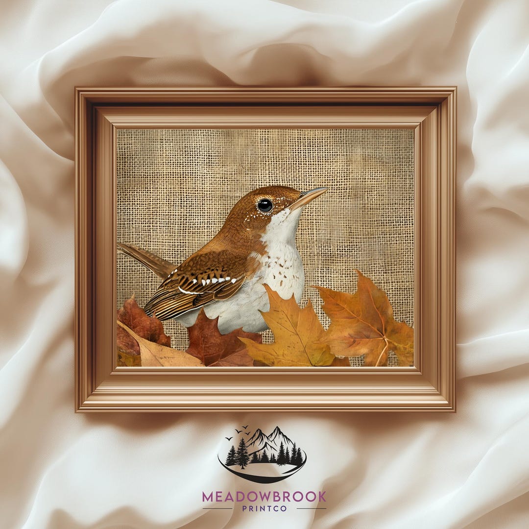 Wood Thrush Bird Wall Art - Rustic Fall Bird Print, Farmhouse Decor ...