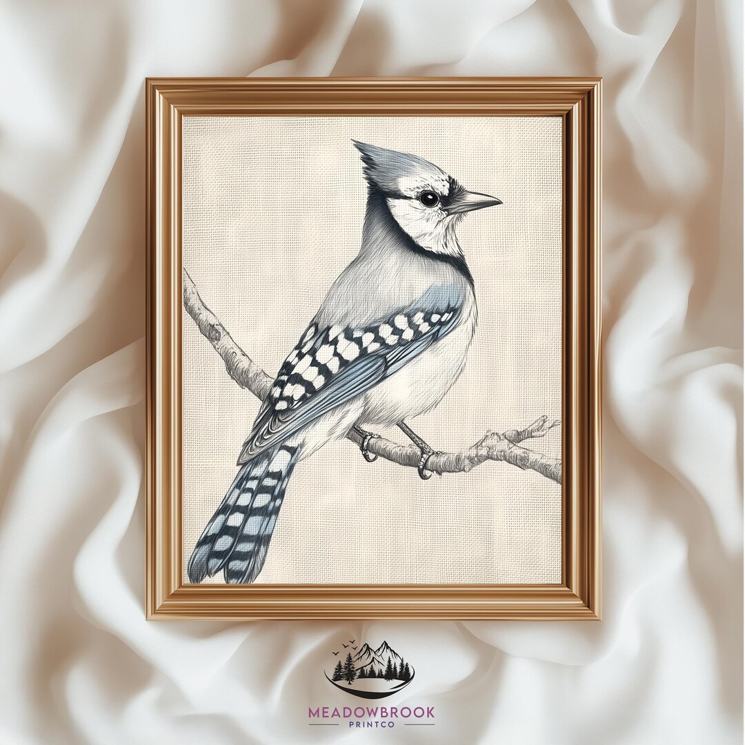 Vintage Cardinal Sketch Wall Art - Neutral Bird Drawing, Rustic ...