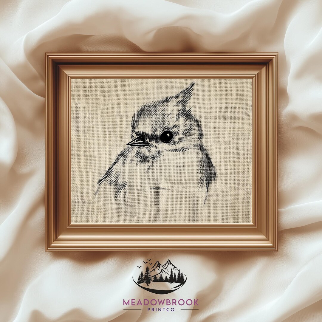 Tufted Titmouse Bird Wall Art - Rustic Bird Print, Farmhouse Bird Decor ...