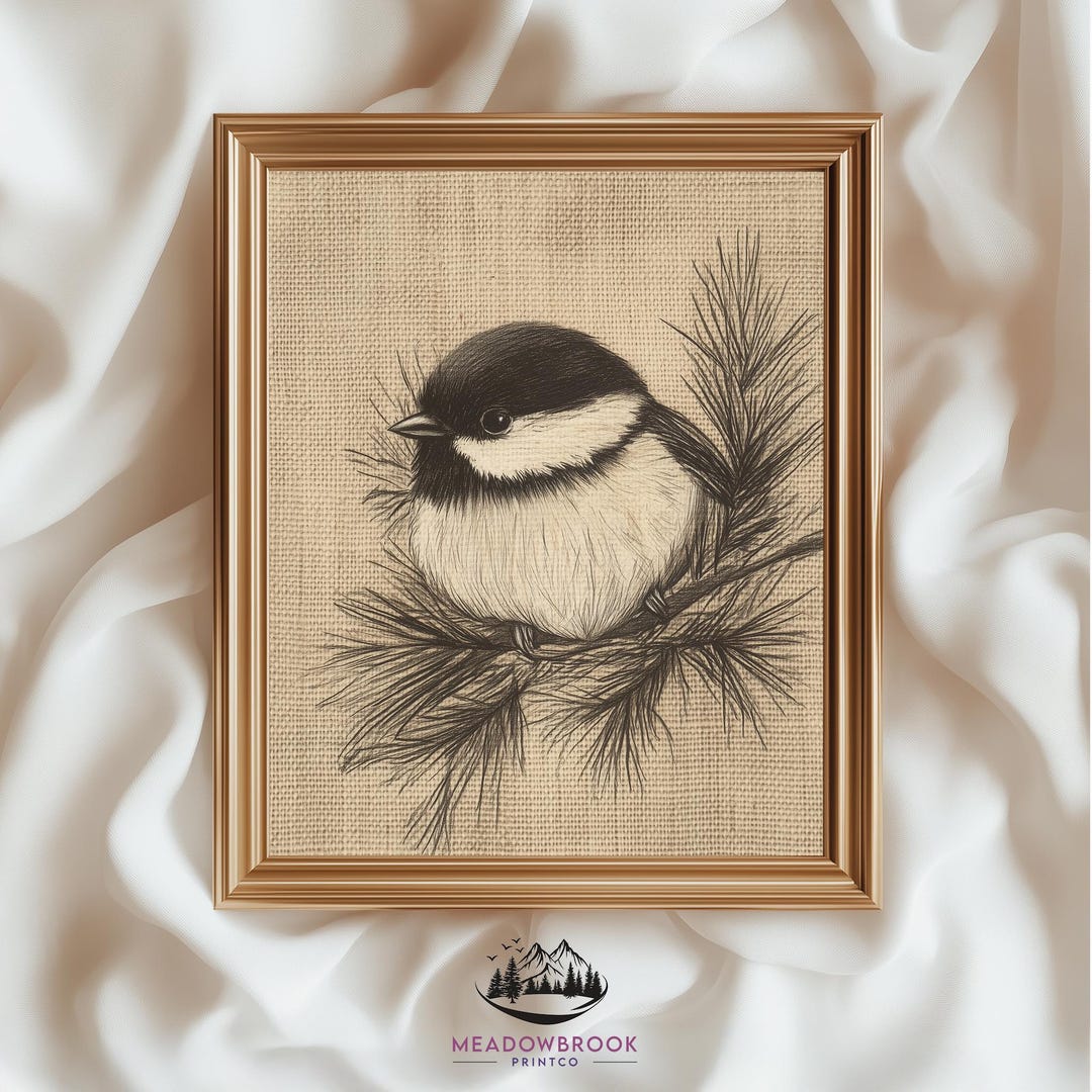Black-capped Chickadee Pencil Sketch - Rustic Bird Wall Art, Woodland ...