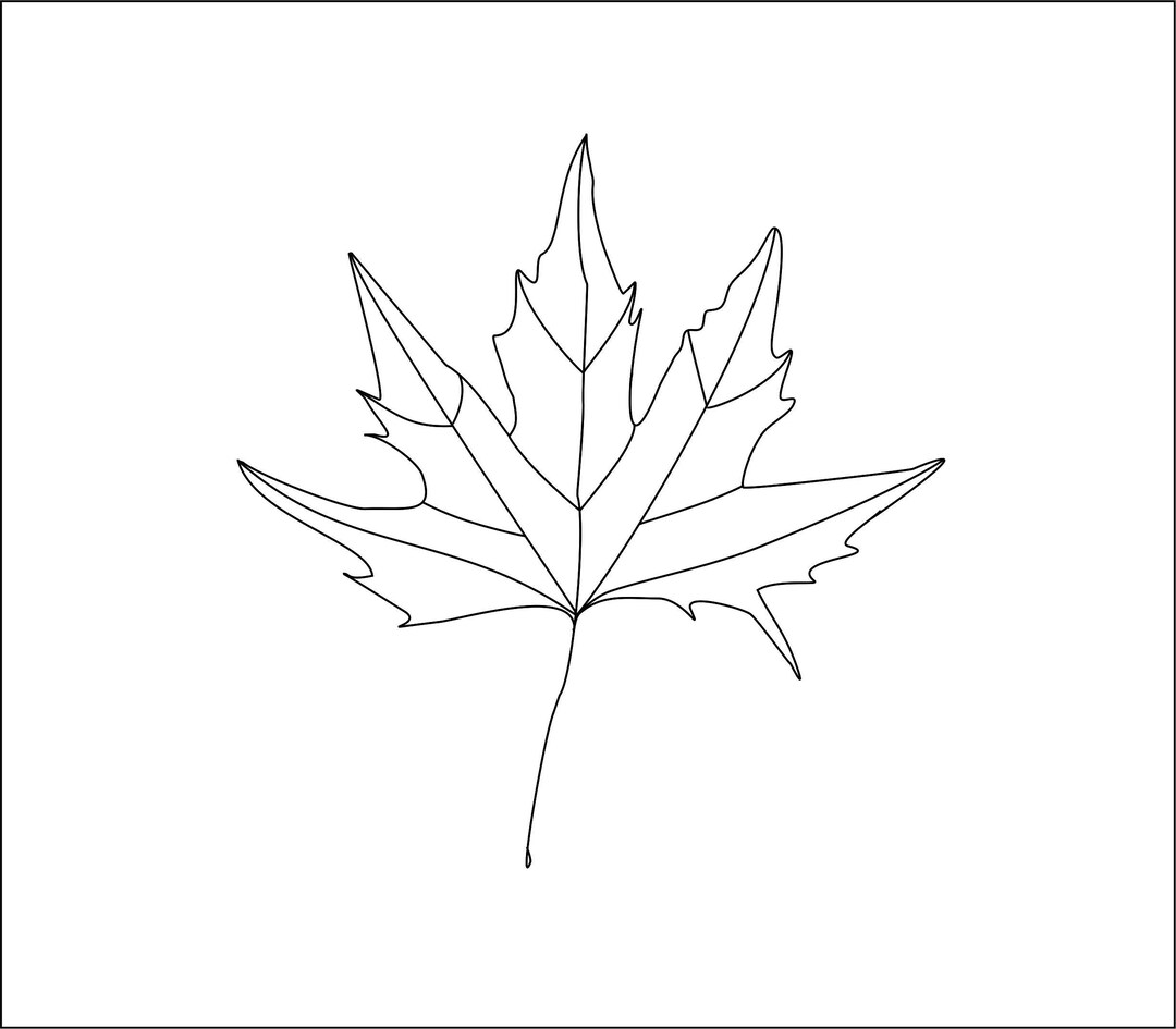 Maple Leaf Line Drawing Clip Art Digital Download PDF PNG SVG Files - Etsy