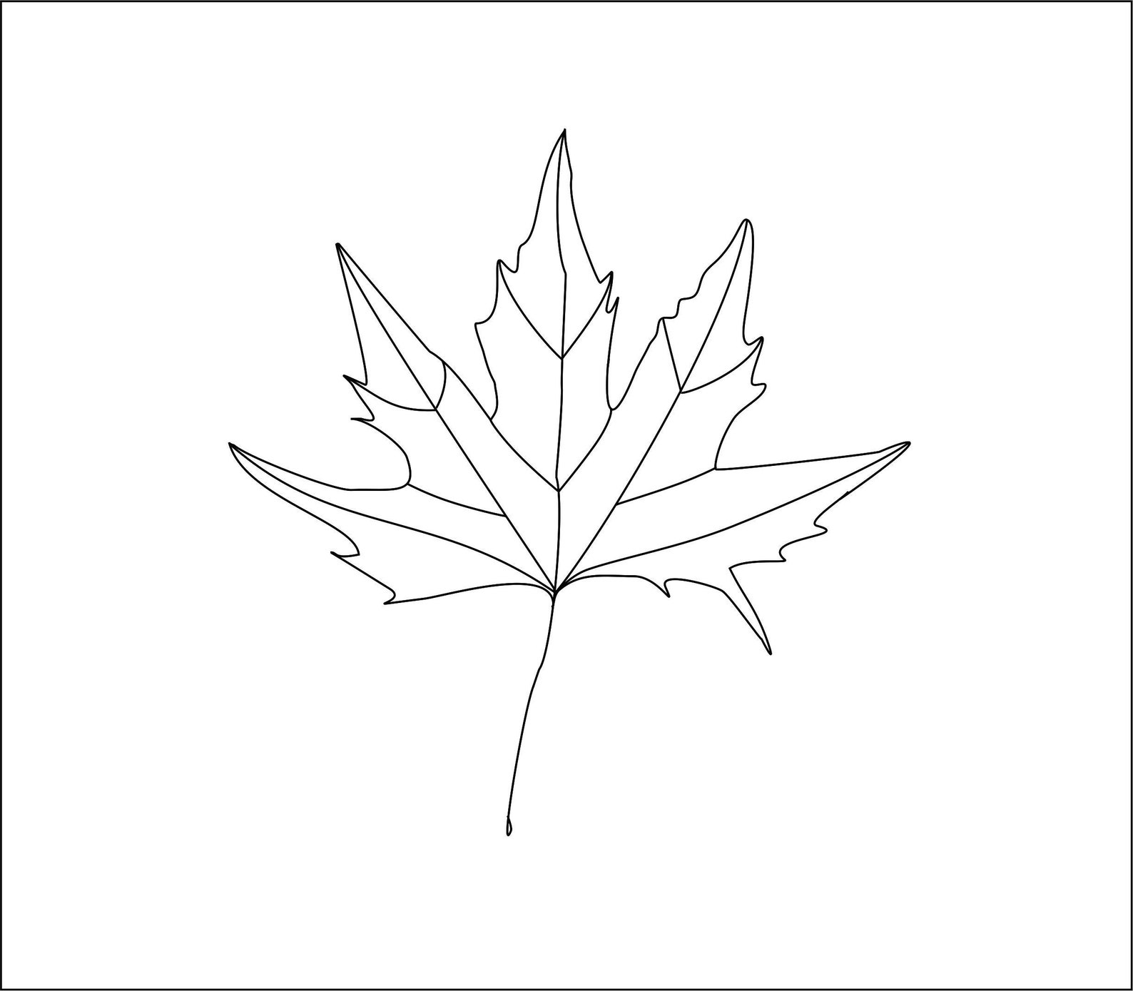 Maple Leaf Line Drawing Clip Art Digital Download PDF PNG SVG Files - Etsy