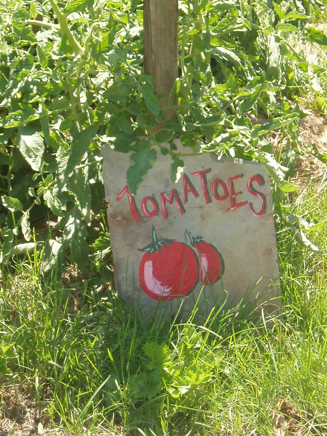 Tomato Garden Slate Sign - Etsy