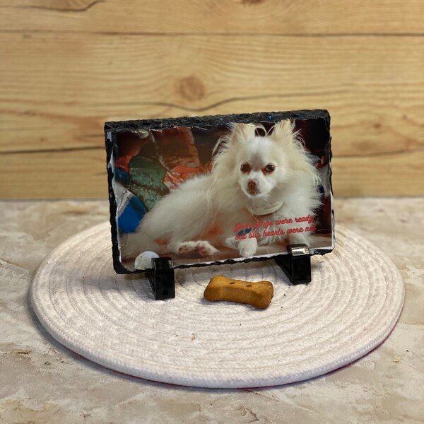 Dog Memorabilia - Etsy