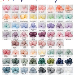 11 Balloons DOUBLE STUFF Pick Your Color Chalk Latex Party Bouquet Baby ...