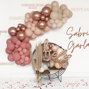 Rosewood Sempertex Latex Balloons Party Decor - Neutral, Wedding ...