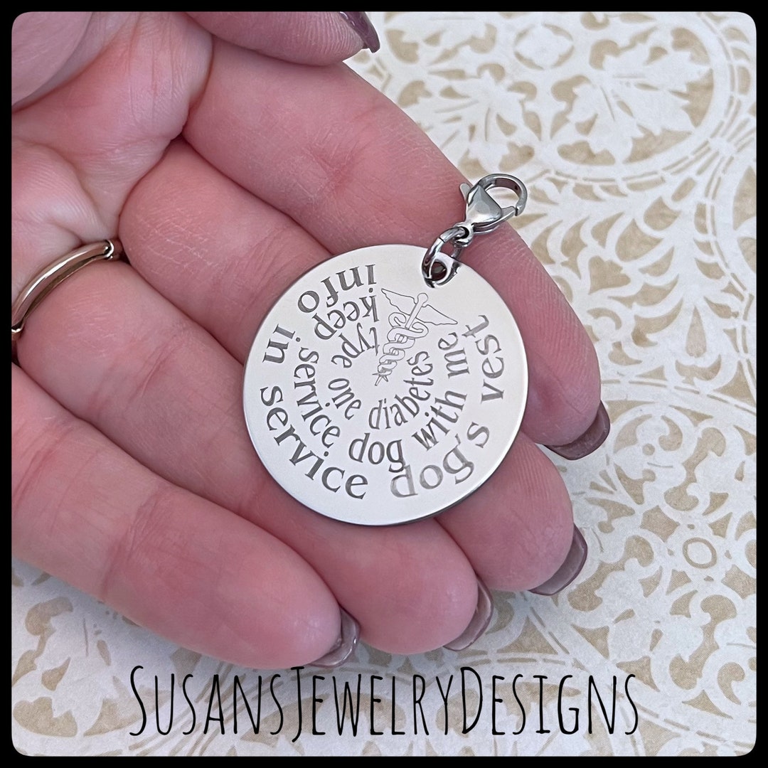 Engraved Medical Alert Clip on Charm, Stainless Steel, Medical ...