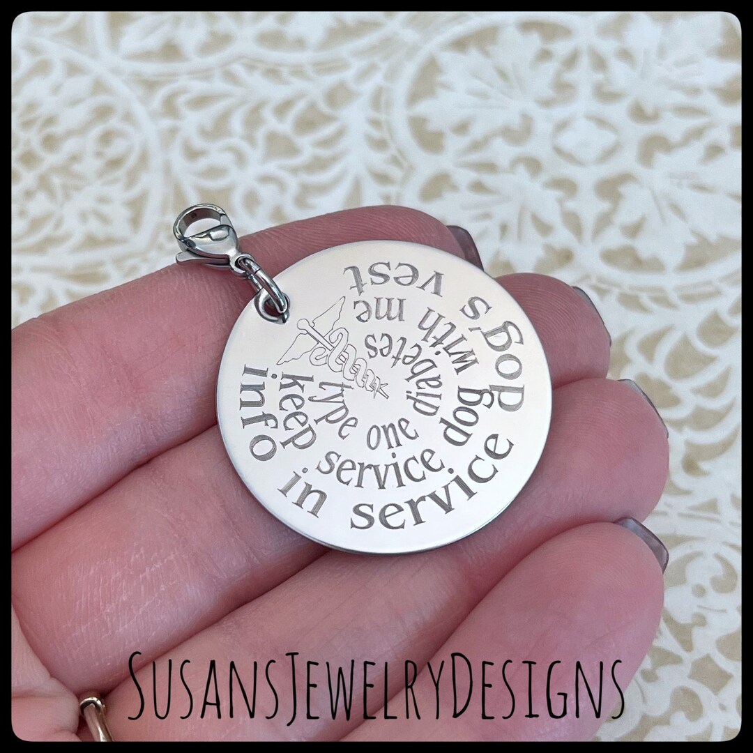 Engraved Medical Alert Clip on Charm, Stainless Steel, Medical ...