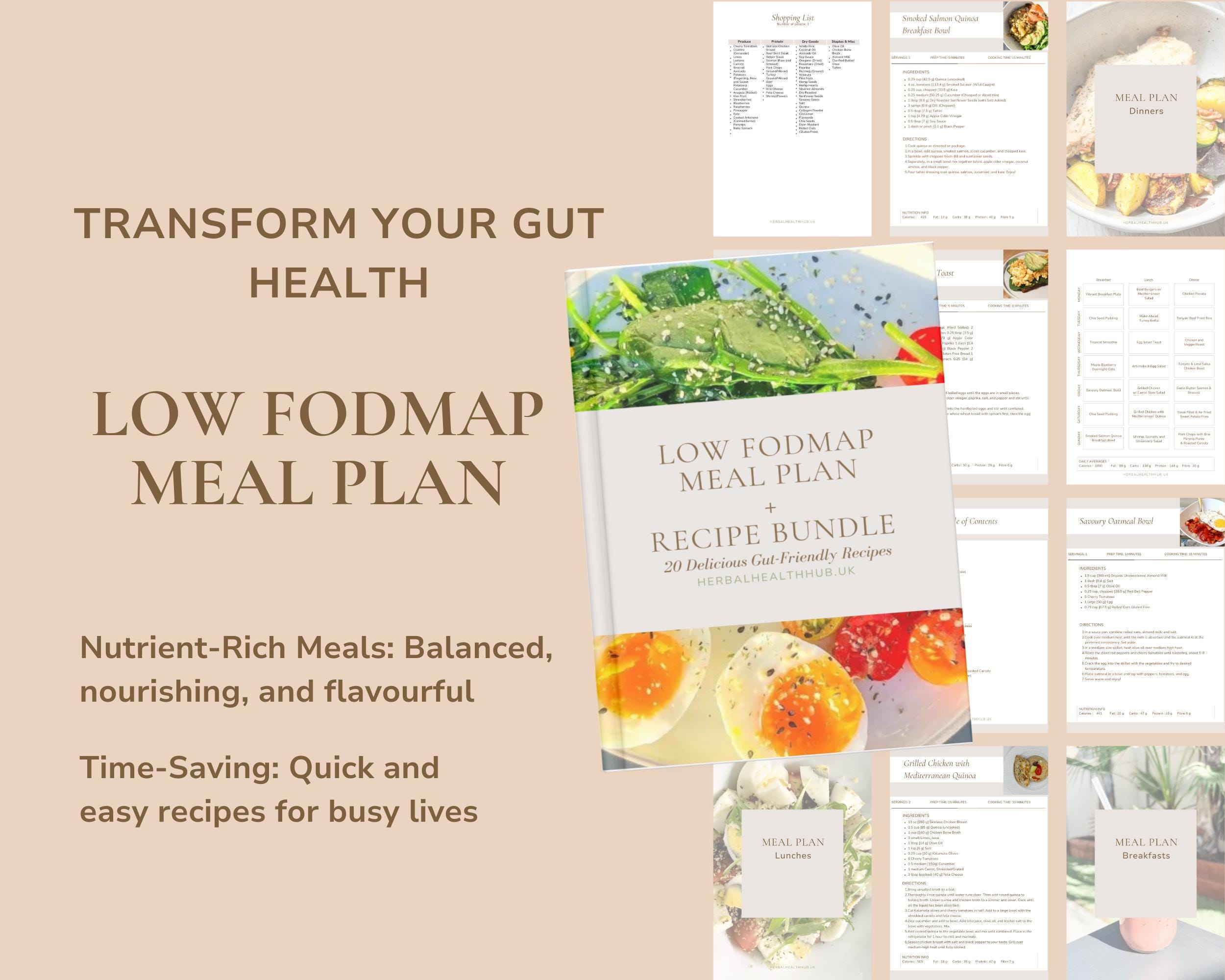 The Low FODMAP Meal Plan and Recipe Bundle - MPB1 - Etsy