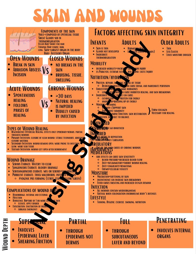 Skin Integrity and Wound Healing Study Guide - Etsy
