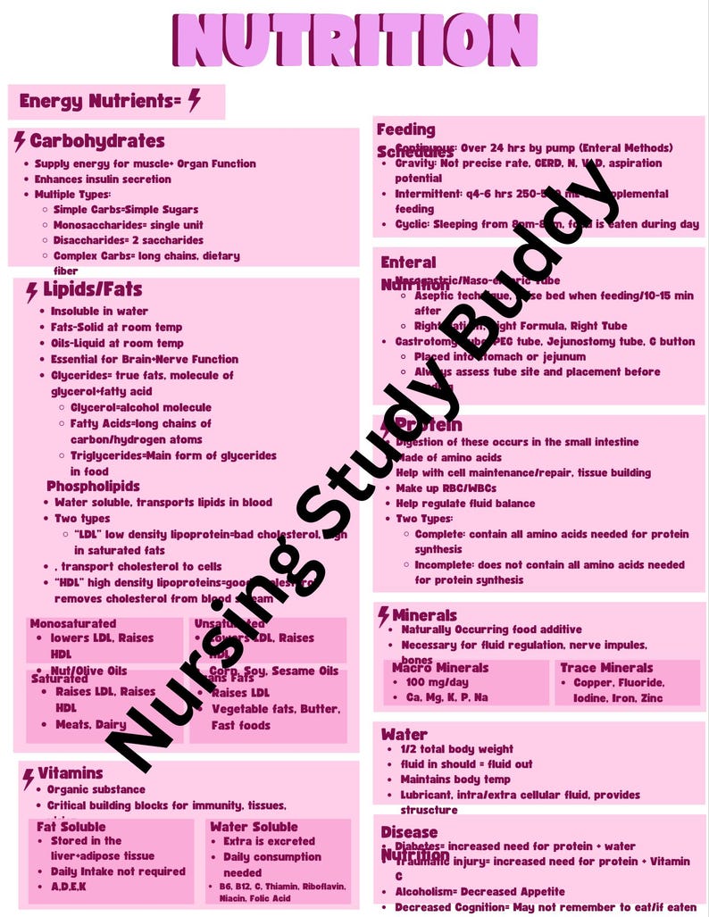 Nutrition Study Guide - Etsy