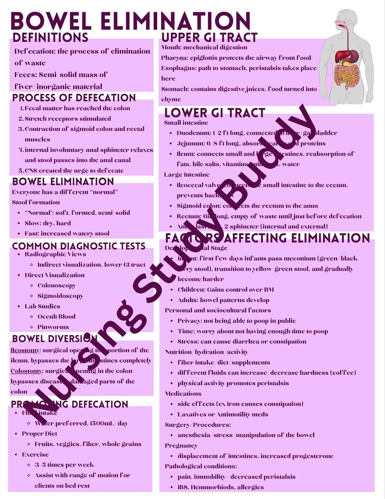 Bowel Elimination Study Guide - Etsy