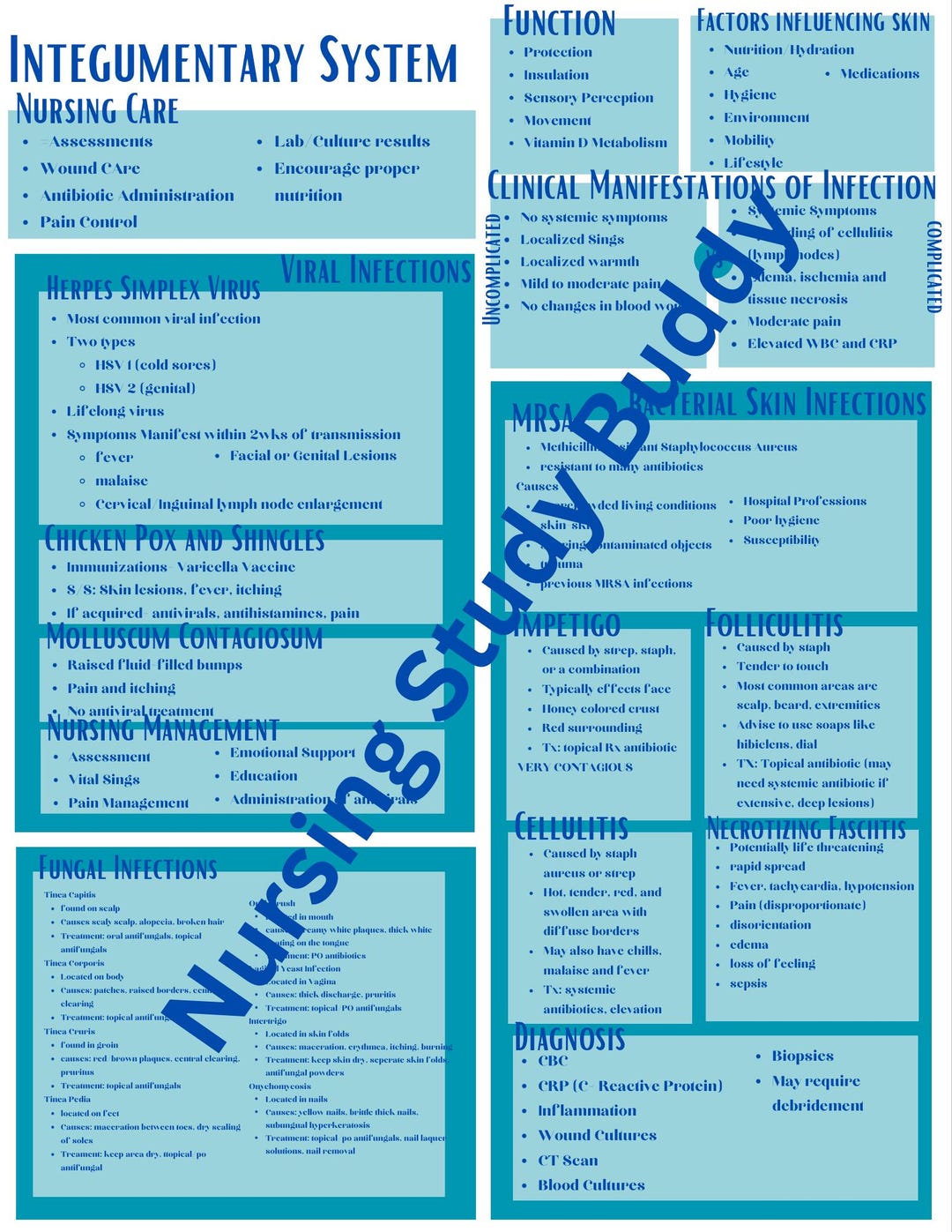 Integumentary Study Guide - Etsy