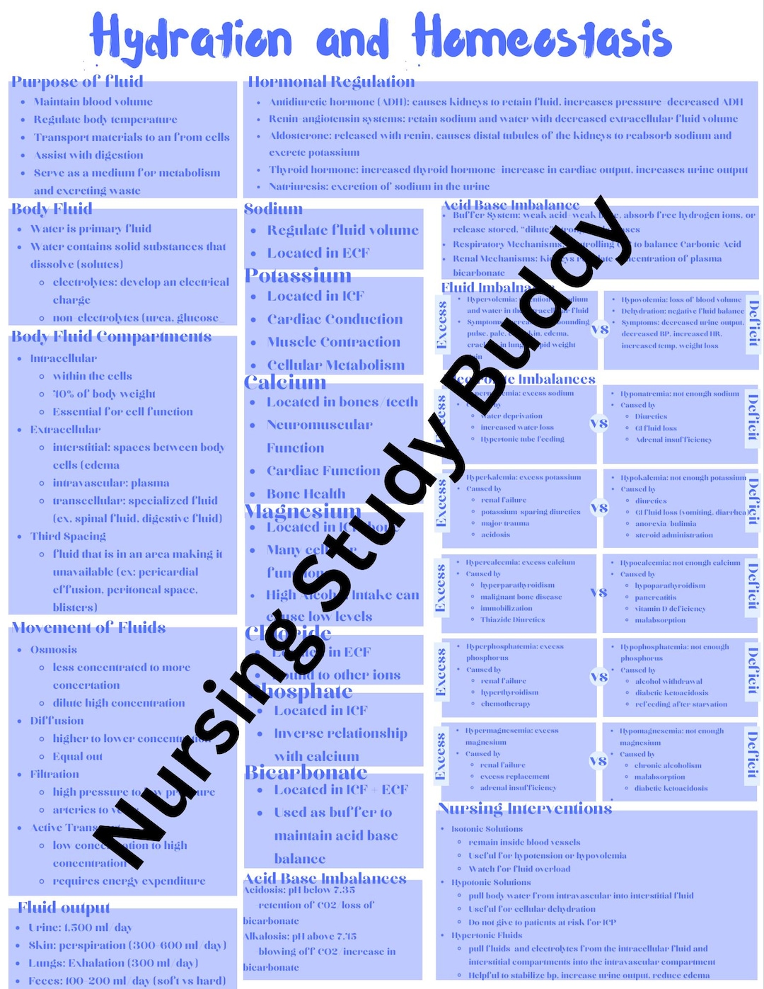 Hydration and Homeostasis Study Guide - Etsy