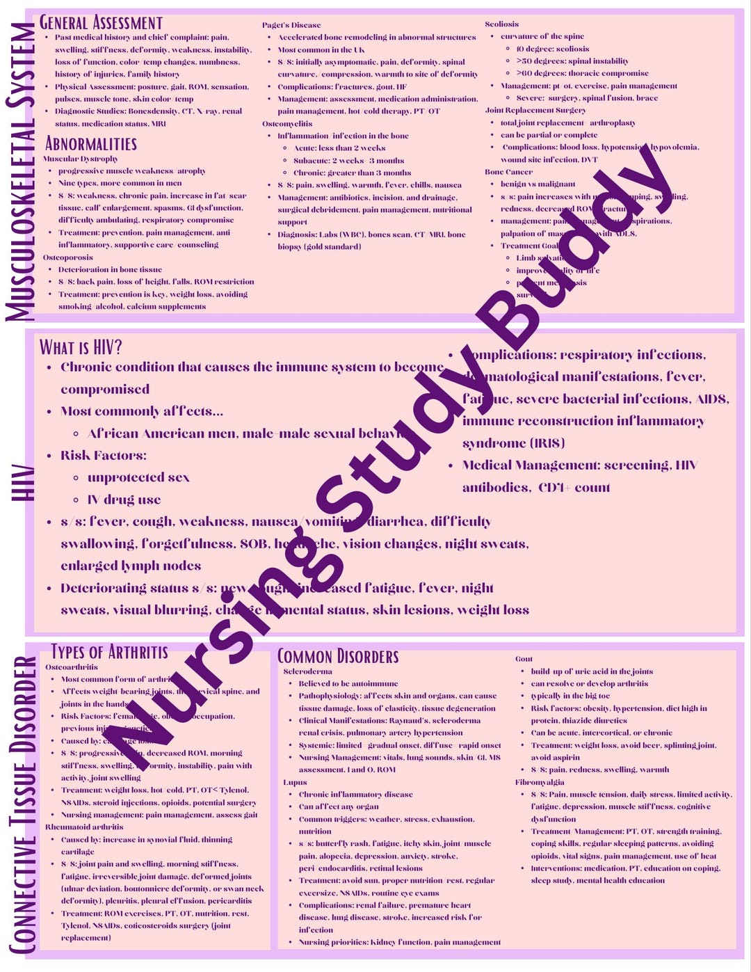 Musculoskeletal Study Guide - Etsy