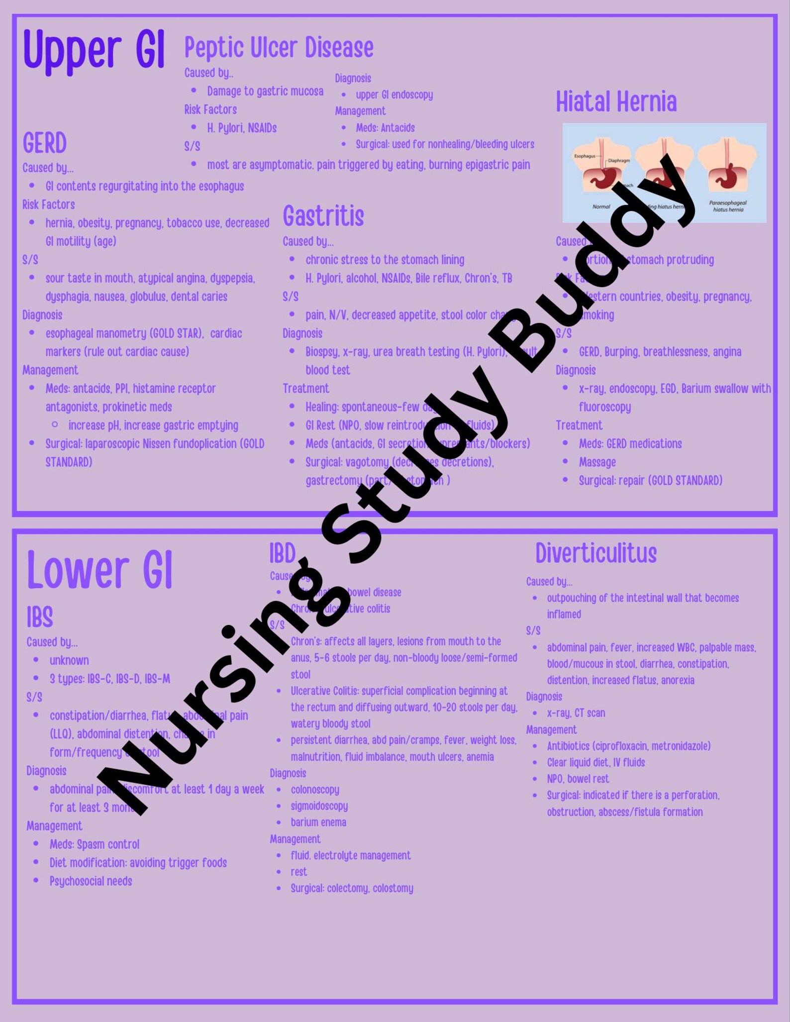 Gastrointestinal Study Guide - Etsy