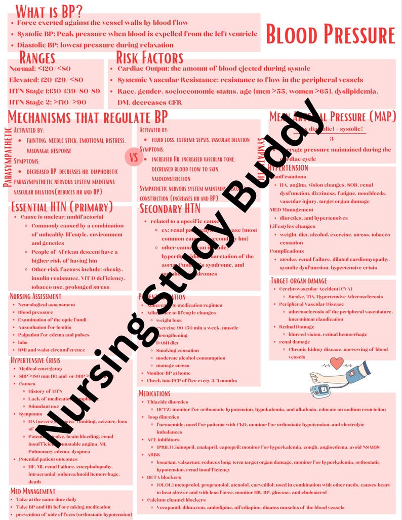 Blood Pressure Study Guide - Etsy