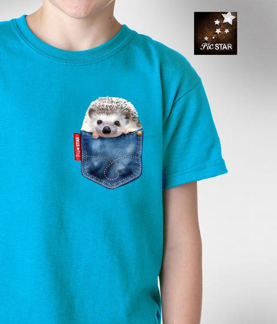 Pet (hedgehog) in a Jean Pocket T-shirts. Cute A Hedgehog T-shirt ...