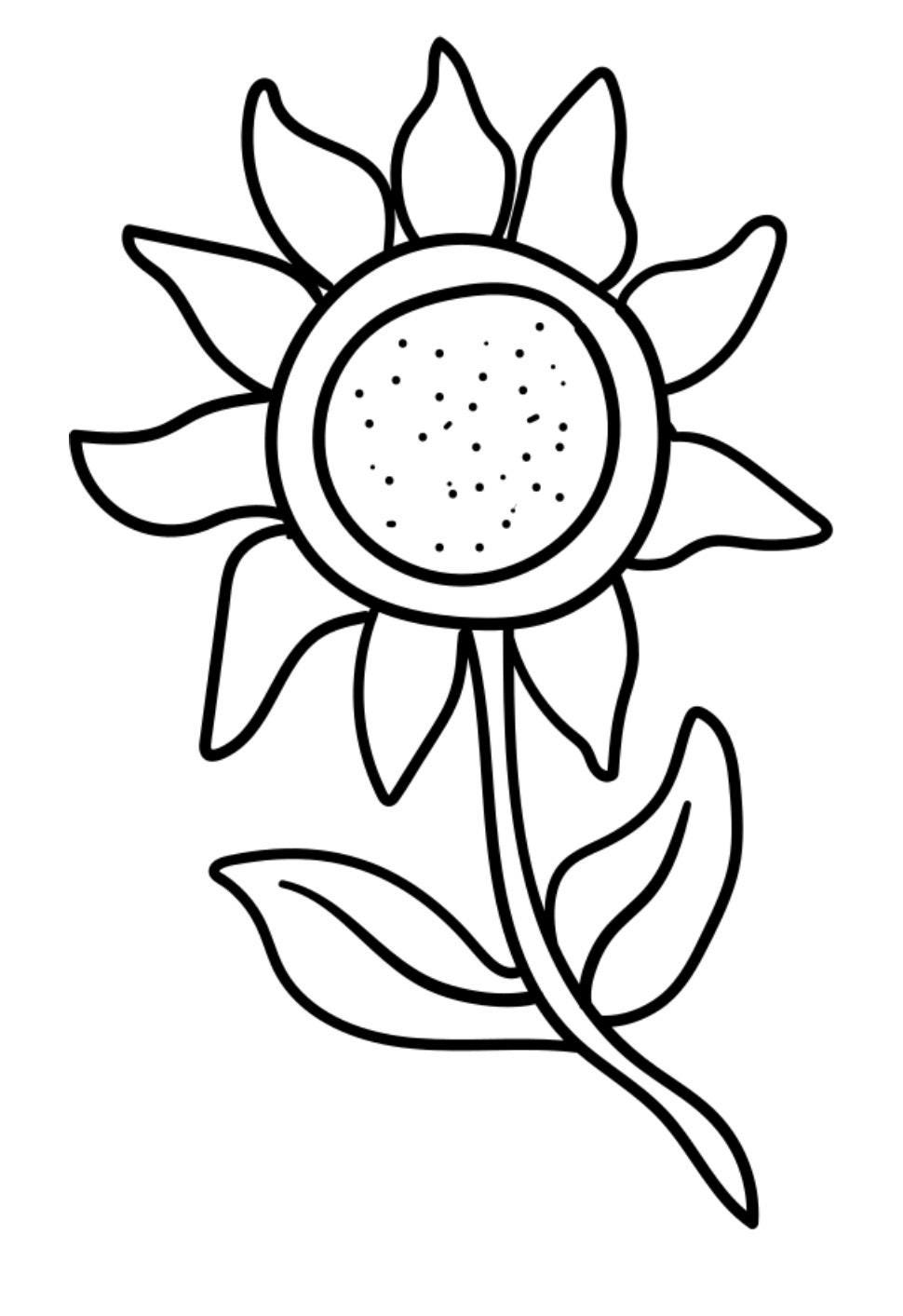 JUMBO Printable Fall Autumn Coloring Pages- Bold and Large for Fun and ...