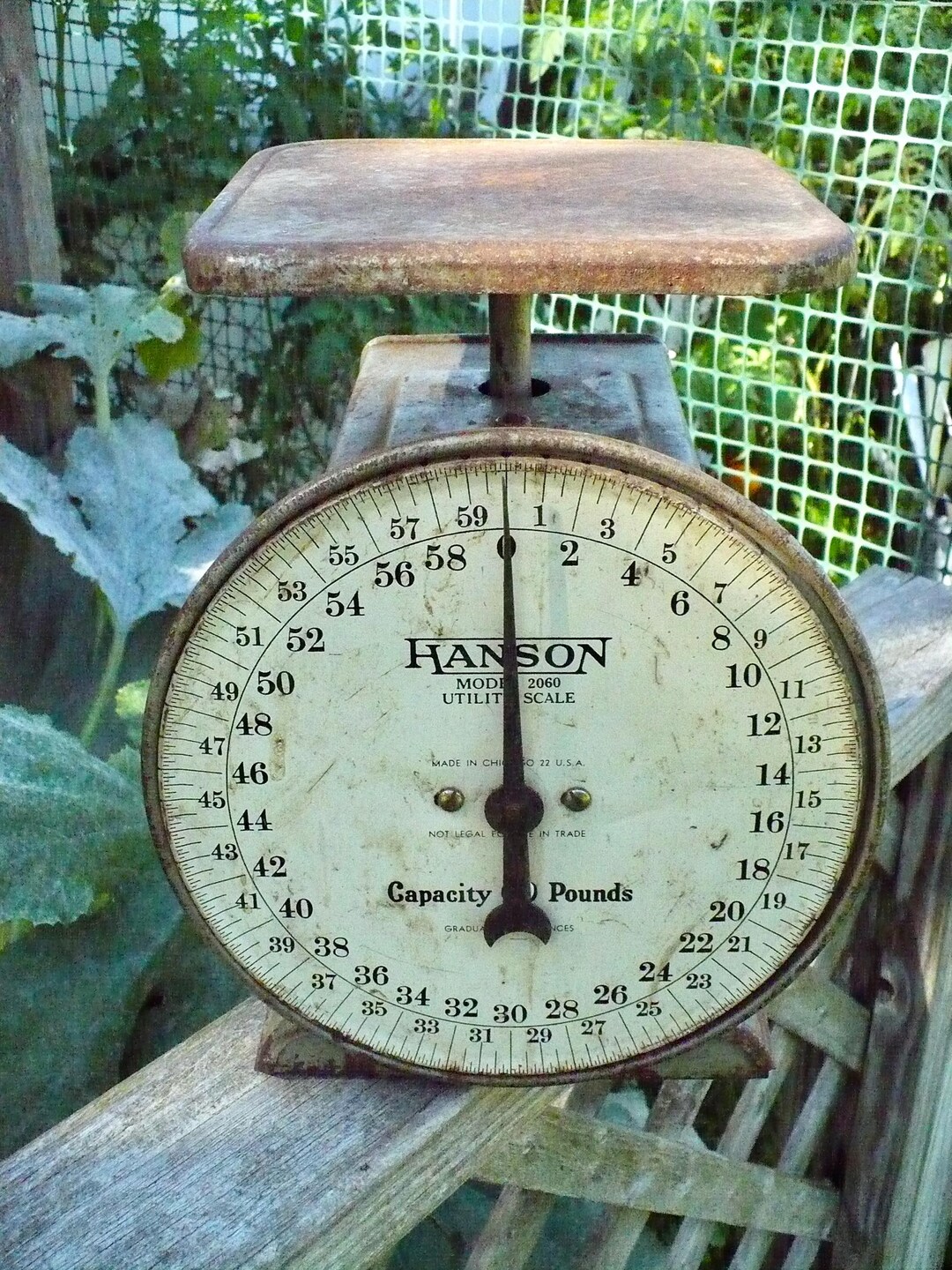 Hanson 60 Lb. Weight Scale - Model 2060 - Chicago, Ill., USA - Etsy