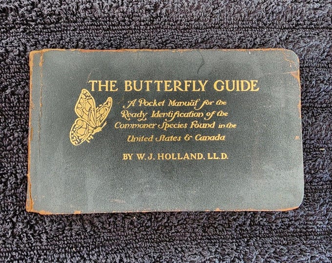 RARE 1915 - the Butterfly Guide: A Pocket Manual" - W. J. Holland ...