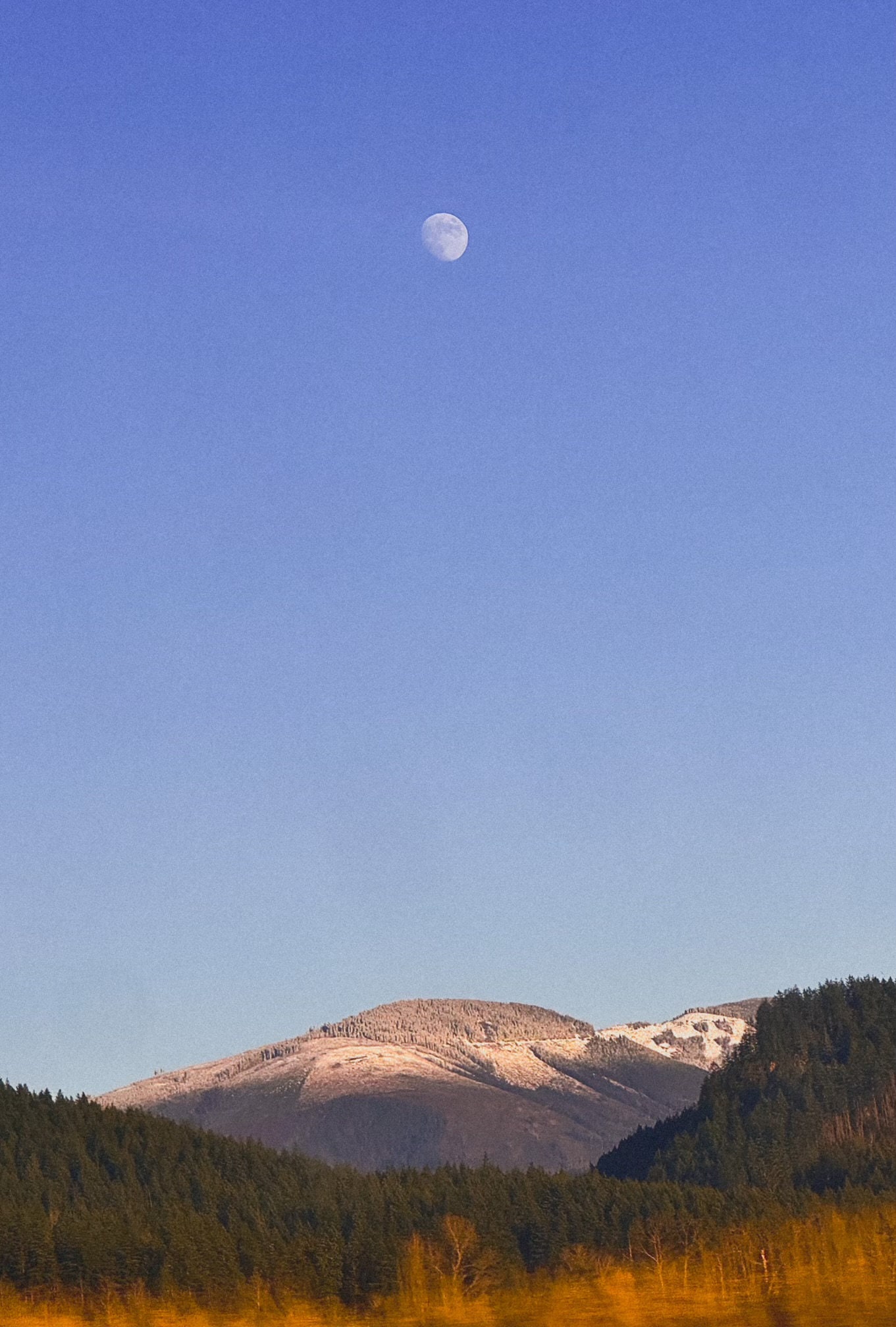 The Moon and Nature - Pack - Etsy