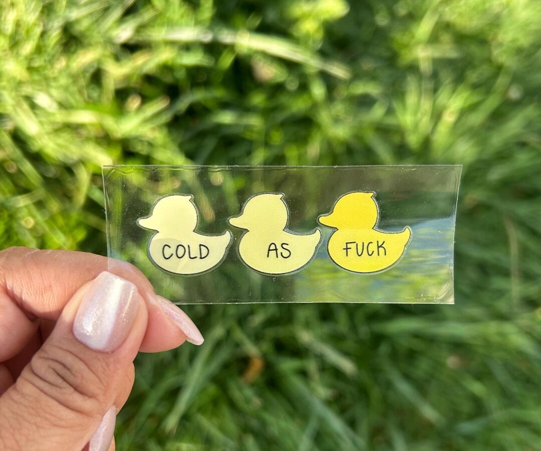 Oscar Piastri #81 Racing Sticker: Motorsport Fan Decal With Ducks - Etsy