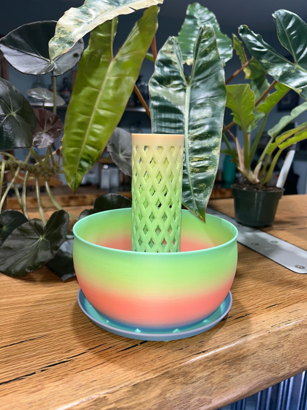Plant Pot With Screw on Moss Pole - Etsy