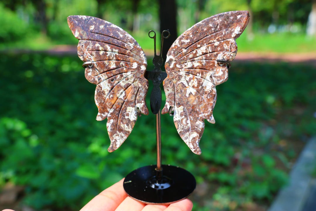 5" Natural Mexican Agate Butterly Wing, Quartz Crystal Carving, Wings ...