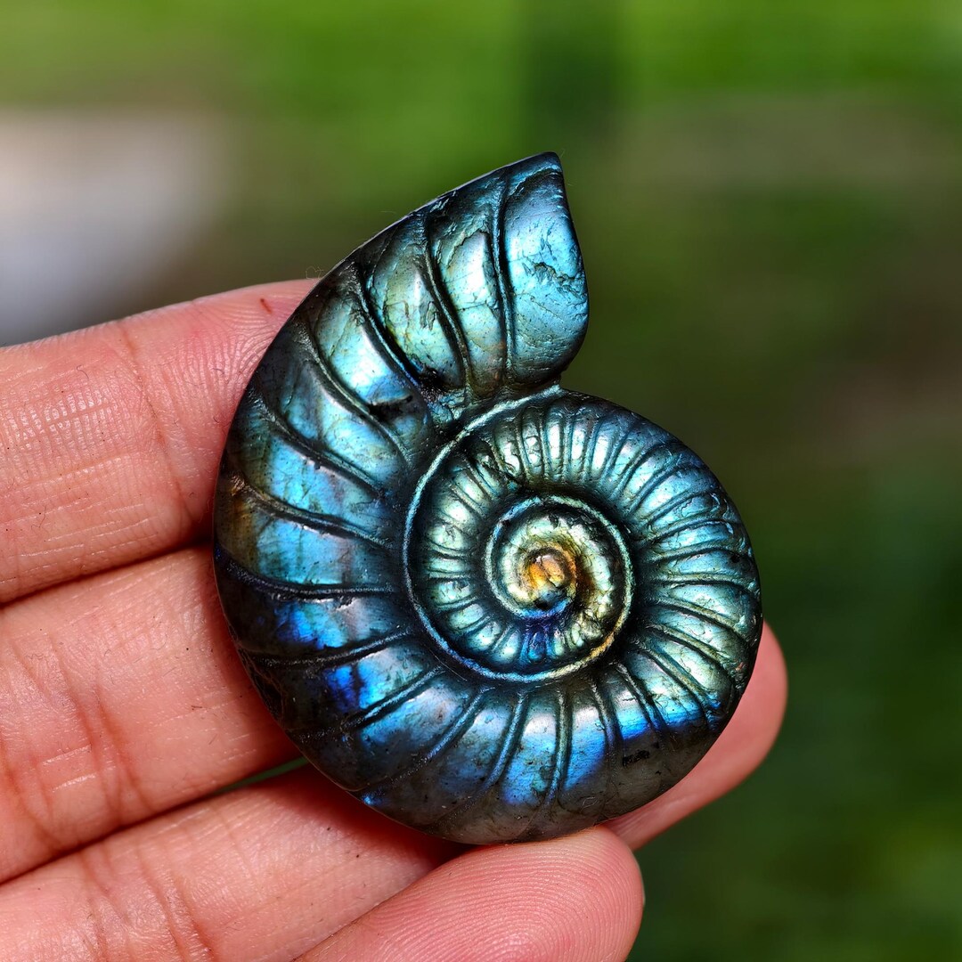 1.6inches Natural Labradorite Carved Conch , Quartz Crystal Carving ...
