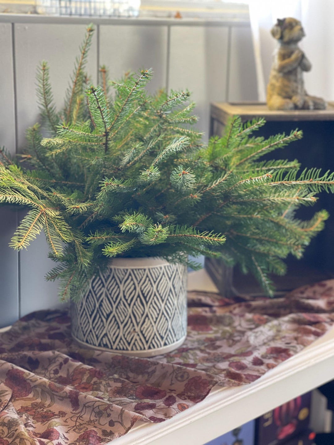 Fresh Cut Norway Spruce Pine Tree Branches – 8”,12”,20” Set of 10 ...