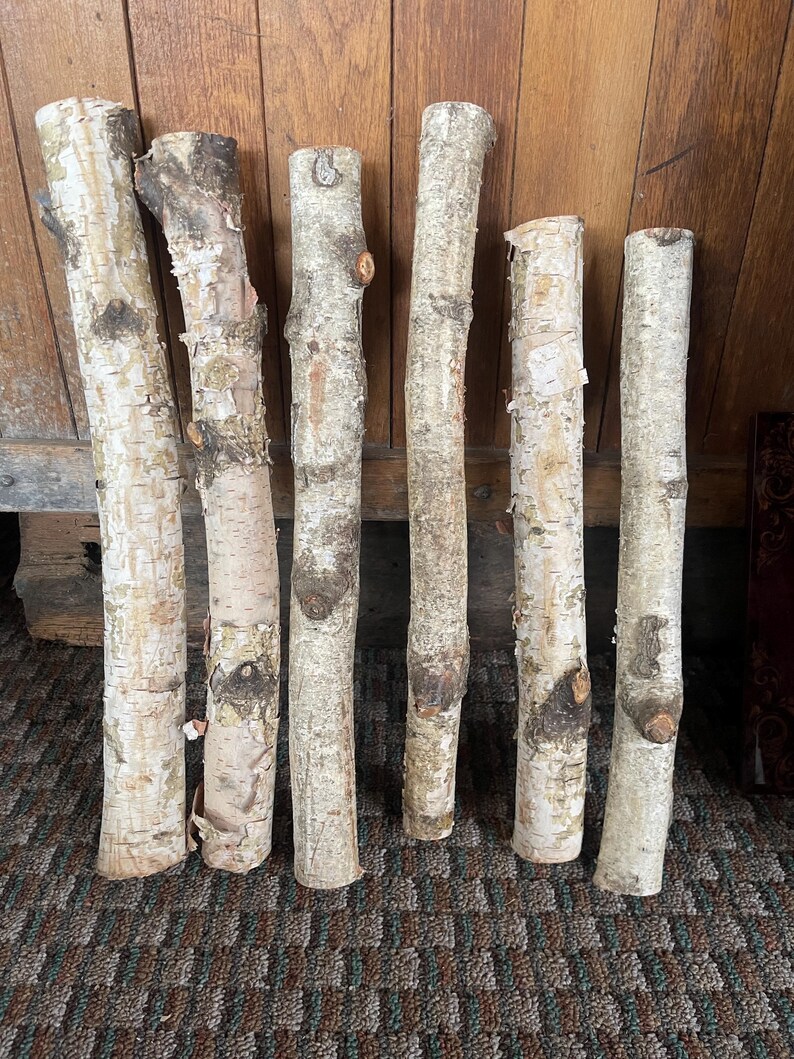 12” Birch Logs Set ( 6 Logs ) - Etsy