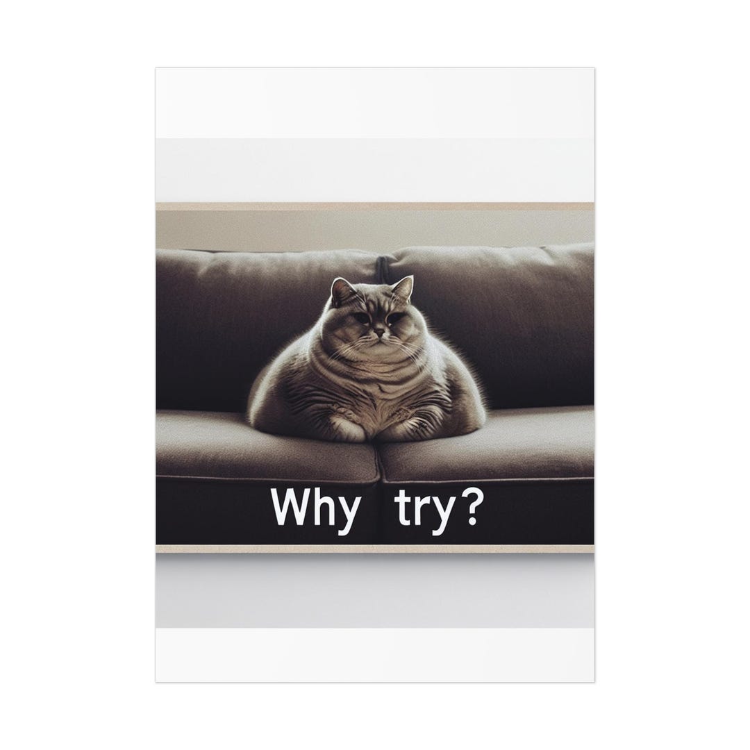 De-motivational Cat Poster. Why Try - Etsy