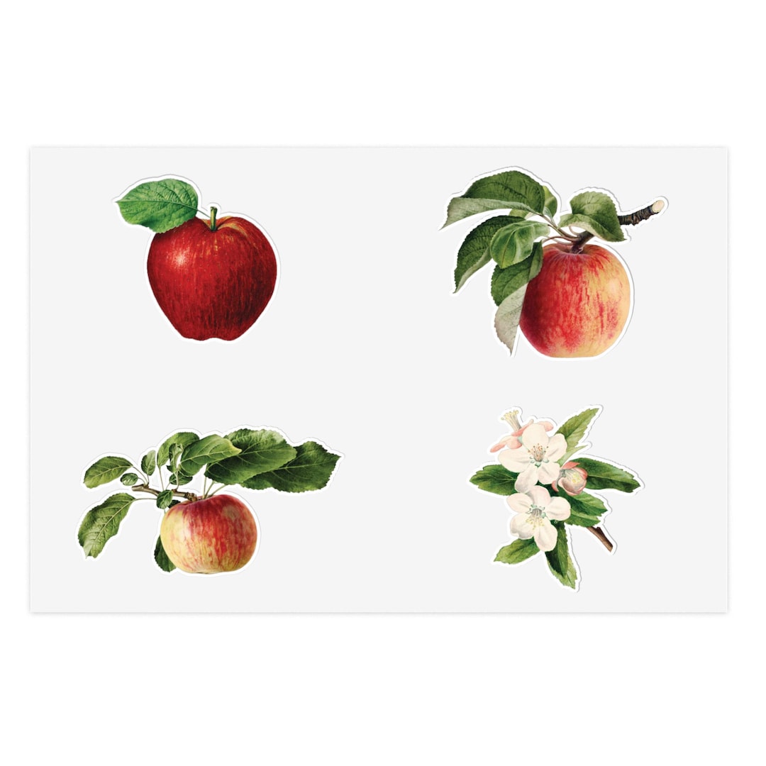 Vintage Apple Sticker Sheet - Etsy