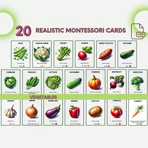 20 Vegetables Cards | Montessori Flashcards | Pre-school Cards ...