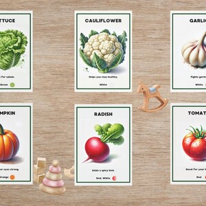 20 Vegetables Cards | Montessori Flashcards | Pre-school Cards ...