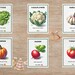 20 Vegetables Cards | Montessori Flashcards | Pre-school Cards ...
