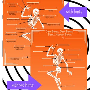 Instant Download Skeleton Worksheet, Bones of the Body Worksheet ...