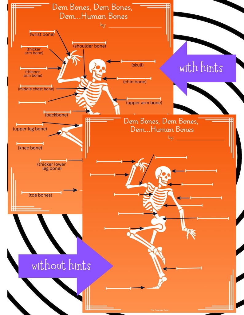 Instant Download Skeleton Worksheet, Bones of the Body Worksheet ...