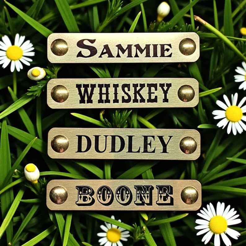 Custom Brass Horse Halter Name Plate: Personalized, Chicago Screws ...