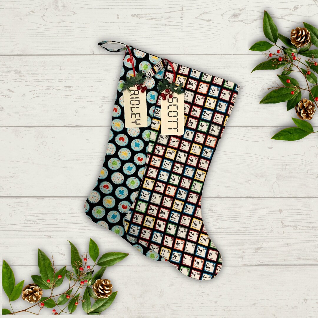Personalized Science Christmas Stocking: Nerdy STEM Gift With Name Tag ...