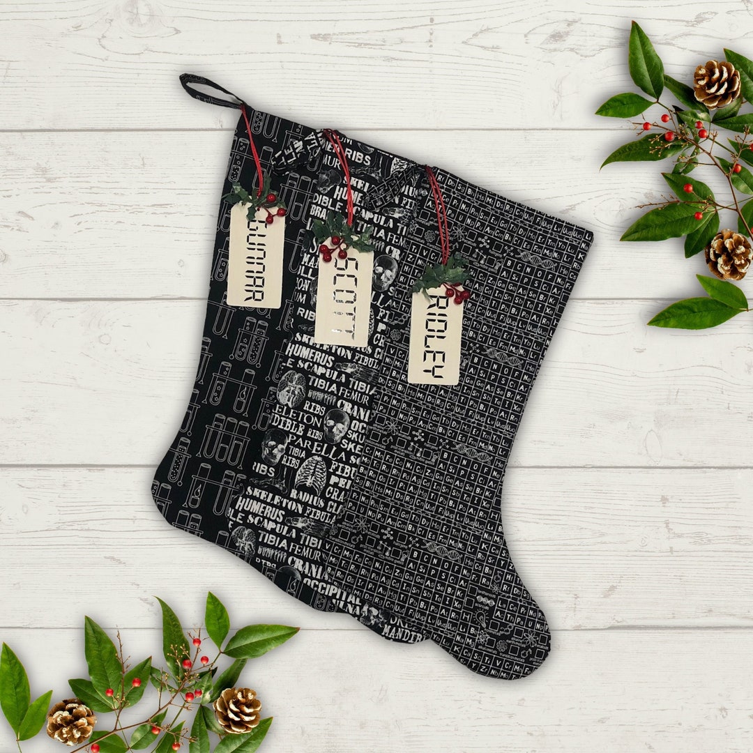 Personalized Large Science Stocking With Name Teacher Boss - Etsy
