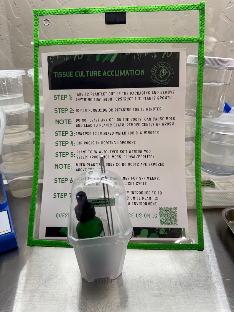 Tissue Culture Acclimation Kit: Planting Supplies With Rooting Hormone ...